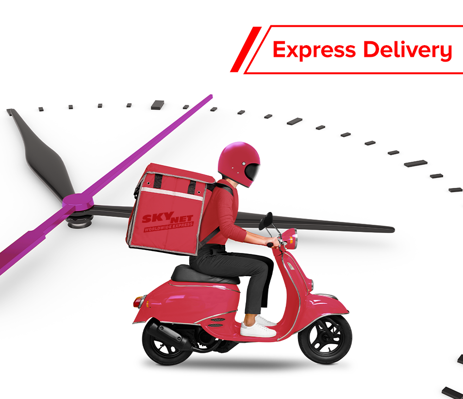 SkyNet Couriers - World's Fastest & Largest Expanding E-Com Service